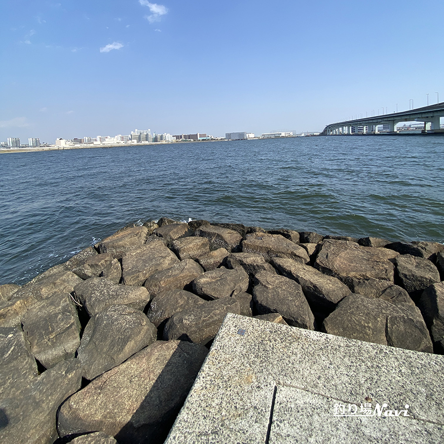 IMG_8842 | 釣り場Navi